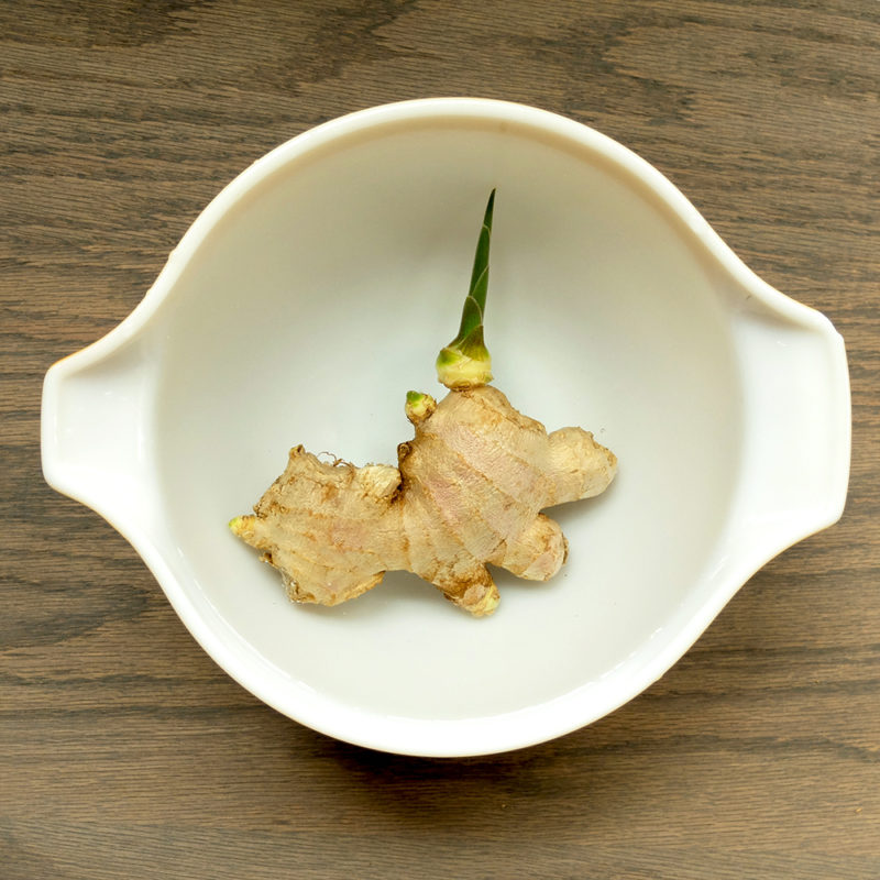 Growing Ginger at Home – Part 1